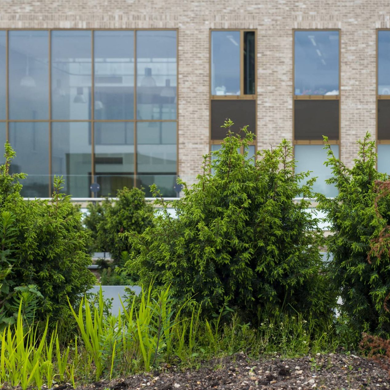 Sixth Form Admissions - Chelsea Academy