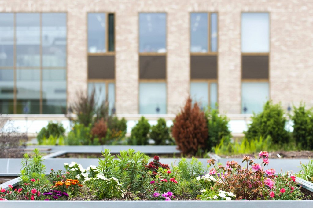 Sixth Form Open Evening for September 2026 - Chelsea Academy